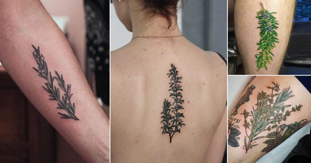 34 Significado e ideas del tatuaje de romero