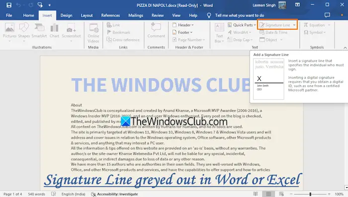 Línea de firma en gris en Word o Excel [Fix]