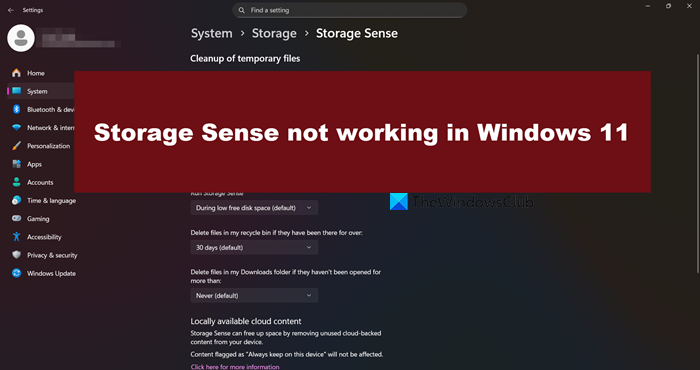 Storage Sense no funciona en Windows 11 – Wiki Blog